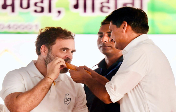 हरियाणा में शानदार जीत के बाद भाजपा ने राहुल गांधी को भिजवाई एक किलो ...